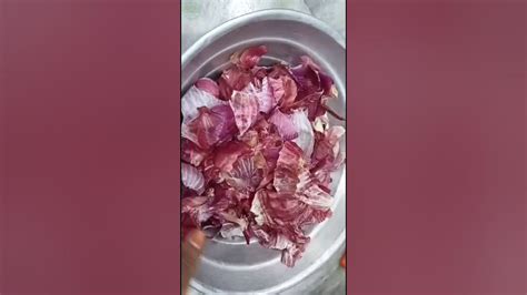 How To Use Onian Peel For Plants L Terracegarden L Shorts L Viralvideo L Gardeningtips Youtube
