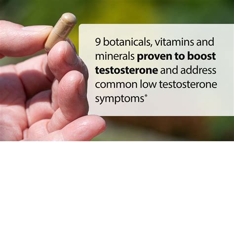 Testosterone Support Innerbody Labs