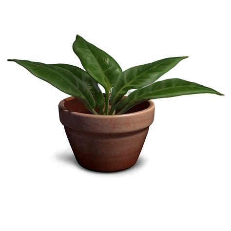 Download Small Plant Pot Png 06122024
