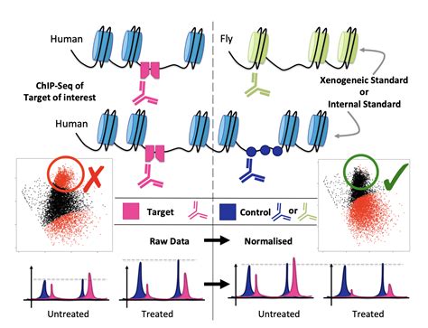 Publications Guertin Lab