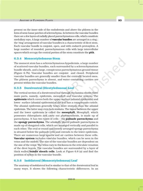 Ncert Book For Class 11 Biology Chapter 6 Anatomy Of Flowering
