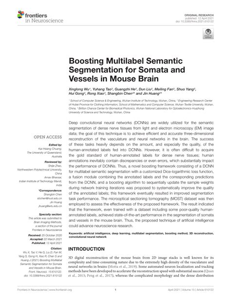 Pdf Boosting Multilabel Semantic Segmentation For Somata And Vessels