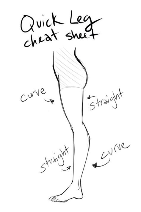 Side Profile Legs Side Profile Legs Drawing Front Facing Legs