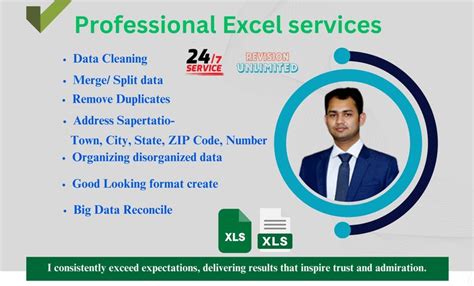 Microsoft Excel Data Cleaning Freelancer