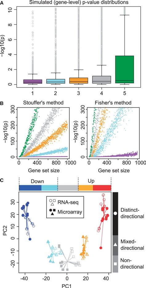 A Boxplots Of Five Simulated P Value Distributions Log Scaled With Download Scientific