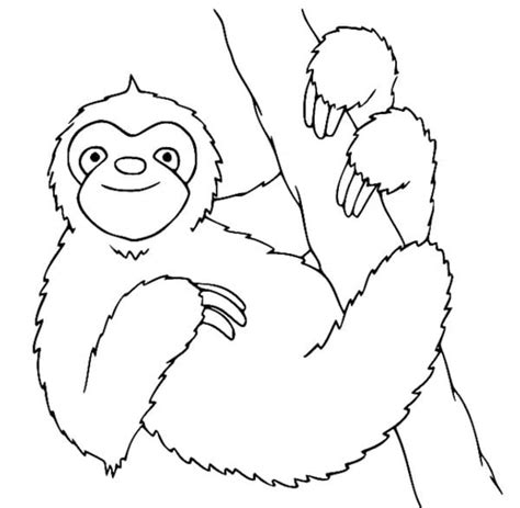 나무늘보 색칠 공부 Kr에서 무료 색칠 공부