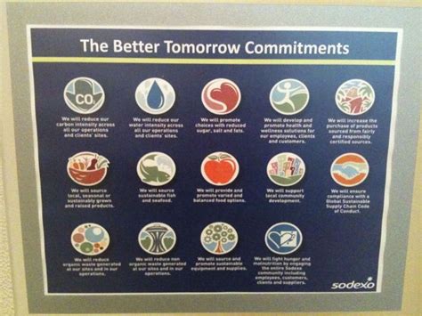 Visual Continuity Pt Designs