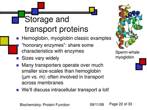 Ppt Protein Function Powerpoint Presentation Free Download Id5488482