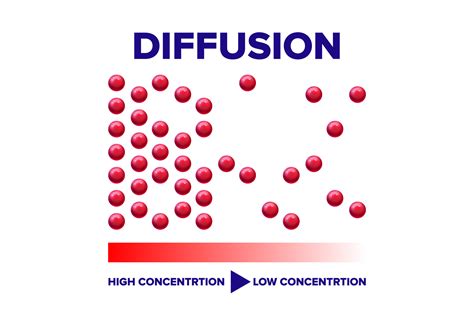 Diffusion Physics Process Vector Info Graphic By Pikepicture · Creative Fabrica