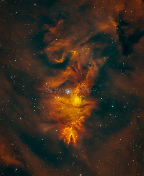The Christmas Tree Cluster And Fox Fur Nebula Astrophotography Stock