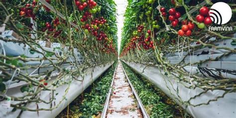 Chức Năng Của Marketing Nông Nghiệp Farmvina Nông Nghiệp
