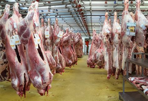 Мах боловсруулах үйлдвэр Мөрөн Агро ХХК