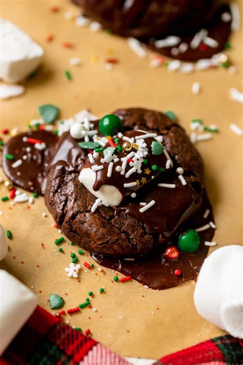 Chocolate Cocoa Cookies