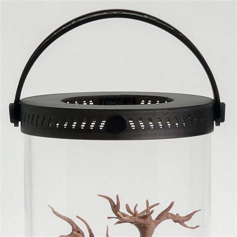 Adventure Set Bug Catcher Kit Bantam V2 Series Upgrade