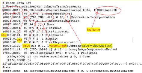 Dicom Is Easy Introduction To Dicom Chapter 3 Dicom Elements