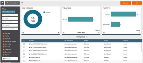 Surprise Nine “must Dos” To Protect Against Malware In Remote Support Apps Netskope