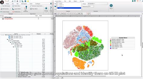 Tutorial Make A Tsne Plot In Flowjo With Flow Cytometry Data Marissa