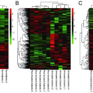 Two Way Hierarchical Clustering Heatmap Of DEGs A DEGs In The NC