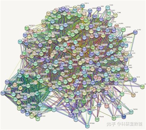 国自然和SCI实验设计的必备技能快速查询基因和通路的关系 知乎
