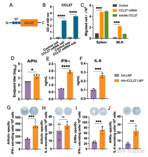 脂质纳米颗粒共包载佐剂与抗原mrna增强流感免疫交叉保护的研究 知乎