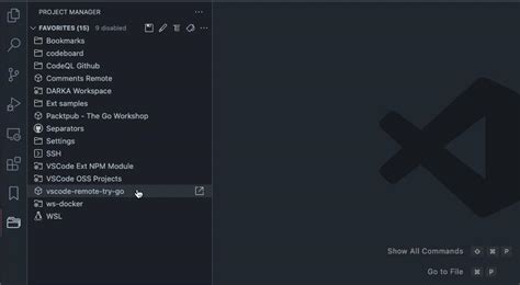裸 Vscode 必备插件 知乎