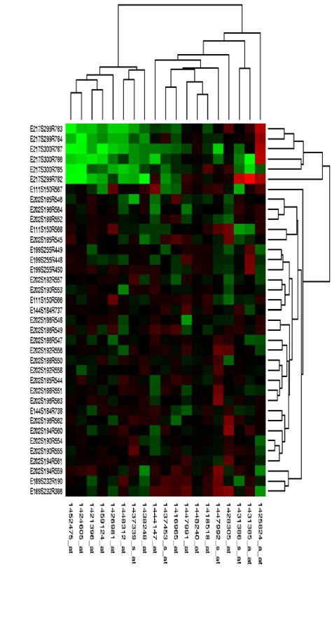 Cluster Heat Map From Andrade 2008 Based On Eisen Et Al 1998 The