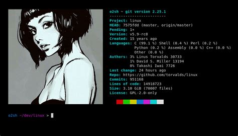 Git Repository Summary On Your Terminal Rrust