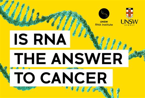 Is Rna The Answer To Cancer Unsw Sydney