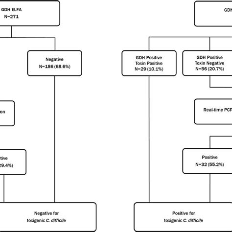 The Diagnostic Algorithms And Distribution Of Samples In Each Step Of