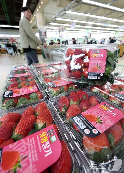 겨울하면 딸기 뉴스1
