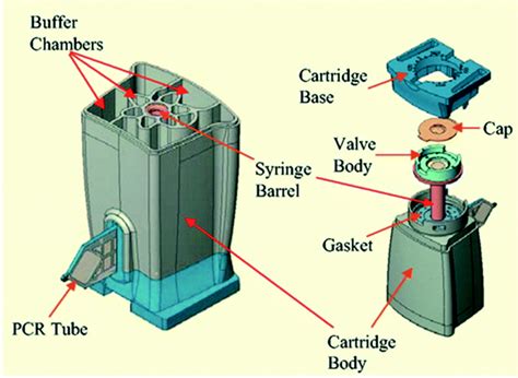 A Metagenomic Sample Prep System By Nava Whiteford