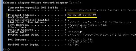 How Do I Get My Hostid Physical Address And Hostname