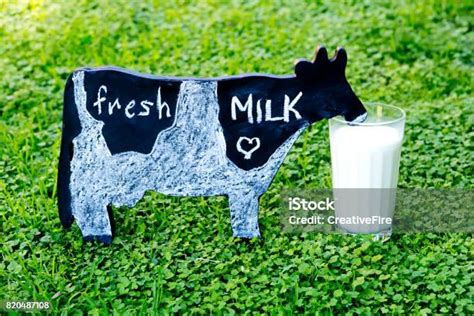 신선한 우유분필 칠판 암소 우유의 유리를 가진 잔디에 손으로 0명에 대한 스톡 사진 및 기타 이미지 0명 가득 찬 검은색