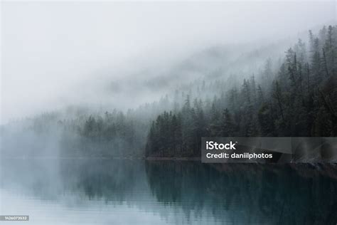 짙은 안개 속에서 청록색 산 호수와 침엽수 림 실루엣이있는 고요한 대기 풍경 수수께끼의 짙은 안개 속의 순수한 고산 호수 안개가 자욱한 이른 아침에 잔잔한 빙하 호수와 숲