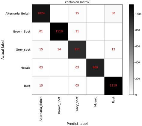 Crop Disease Identification By Fusing Multiscale Convolution And Vision Transformer