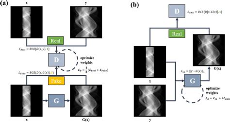 Training The Gans A During Every Optimization Step The Discriminator