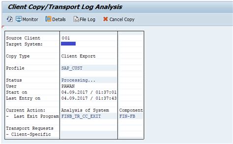 SAP BASIS Export Import Client