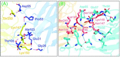 The Interaction Patterns Of The Wild Type And B1618 Variant Download Scientific Diagram