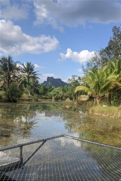 ที่ดินวิวสวย สงบ ร่มรื่น อ่าวนาง จ กระบี่ ที่ดินร้อยแปด คอม