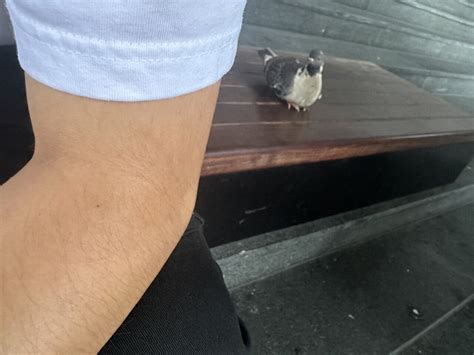 이새끼 머임 유머 움짤 이슈 에펨코리아