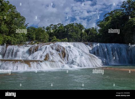 Agua Azul Waterfalls Near Palenque Chiapas Mexico Surrounded By Lush