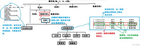 os 文件管理1 文件 文件的逻辑结构与物理结构。