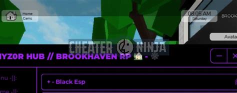 Hyzor Hub Brookhaven RP Script Cheater Ninja