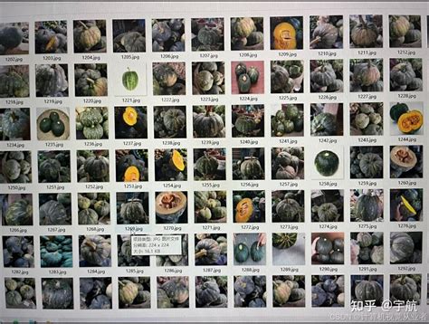 蔬菜识别数据集 蔬菜数据集 用于训练，有十种蔬菜，如图已经标注好的版本 知乎