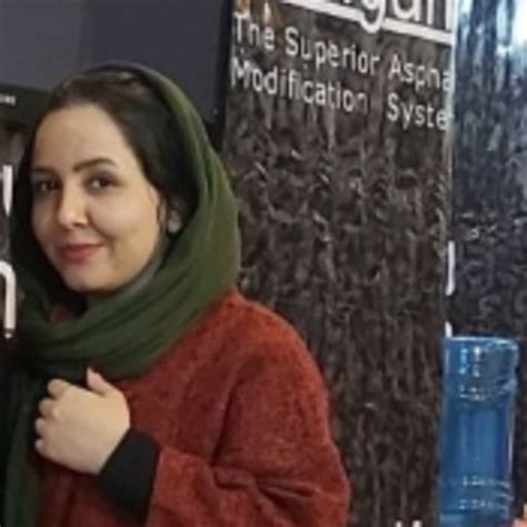 negin misaghian lecturer phd in computer engineering software systems research profile