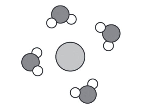 The Diagram Above Represents A Particle In Aqueous Solution Which Of The Following Statements