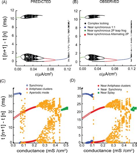 Figure 2 From Pulse Coupled Oscillators And The Phase Resetting Curve Semantic Scholar