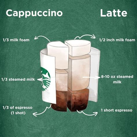 Comprehensive Guide Cappuccino Vs Latte Paper Cup Supplier And Manufacturer 0 Plastic Eudr