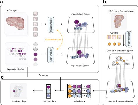 Figure 1 From Spatially Resolved Gene Expression Prediction From Hande Histology Images Via Bi