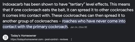 The Last Roach Killer Youll Ever Use Roachbane